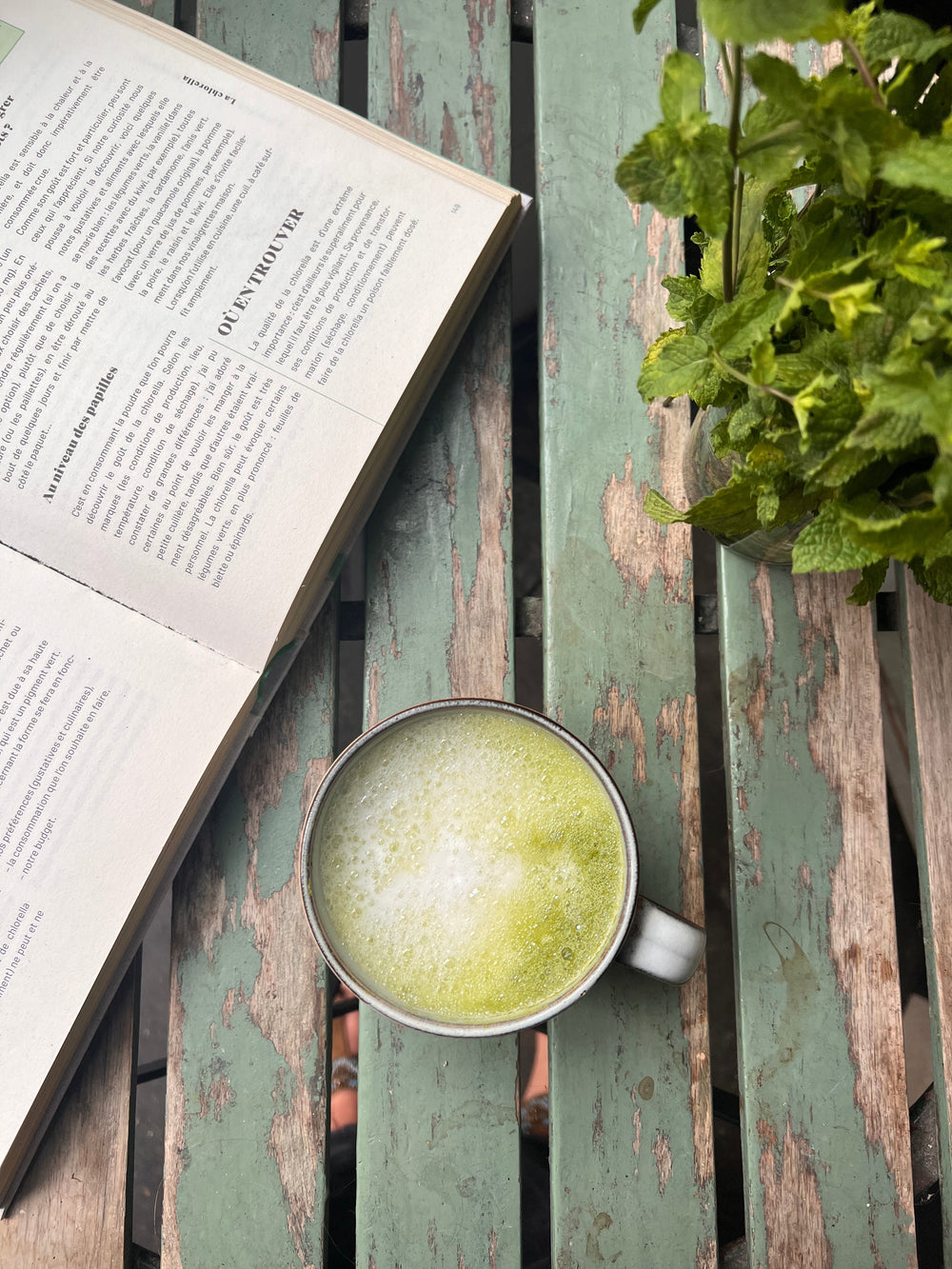 Le Lucumatcha : un nouveau super Latte à venir – Sol Semilla